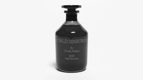 World Sensorium: Gayil Nalls | The Joan and Martin Goldfarb Gallery
