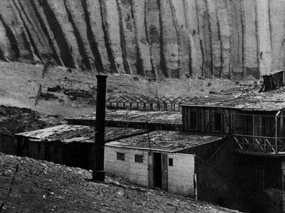 Reciprocal Landscapes: Jane Mah Hutton | The Joan and Martin Goldfarb ...