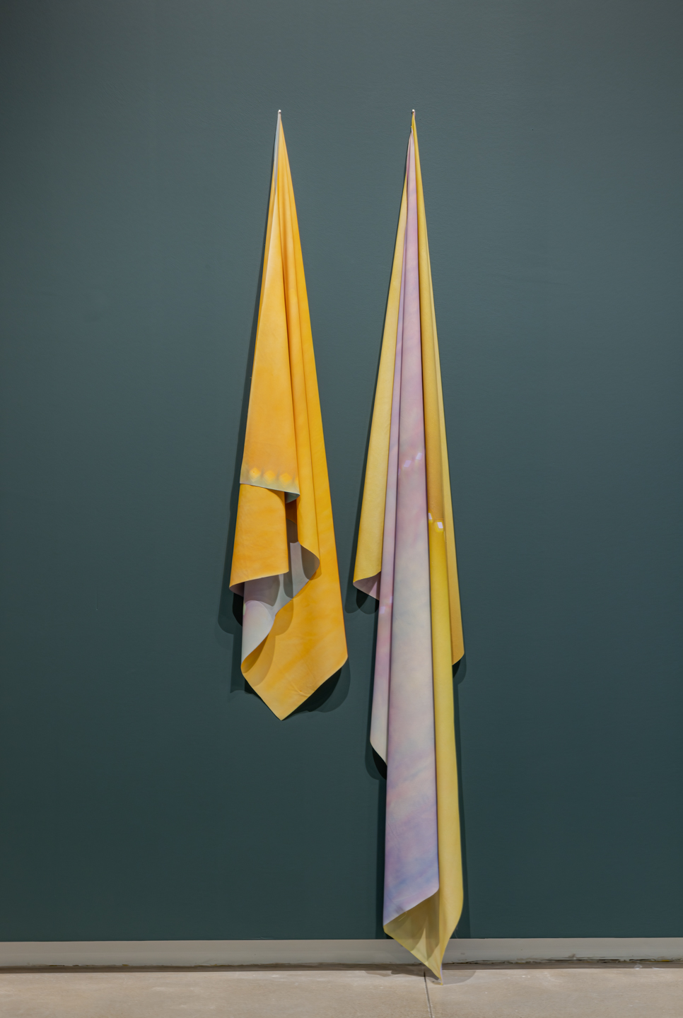 Maryam Taghavi: Unfolding Worlds | The Joan and Martin Goldfarb Gallery